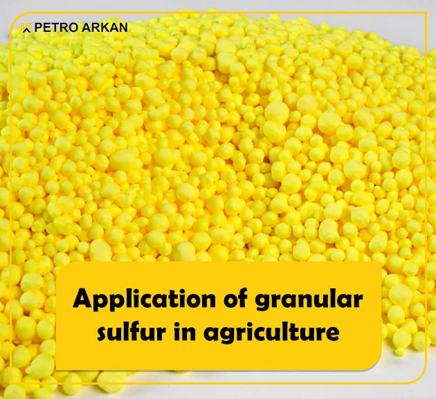 Application of granular sulfur in agriculture + 5 agricultural uses