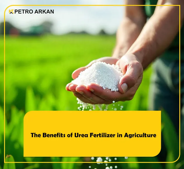 The Benefits of Urea Fertilizer in Agriculture: 5 Urea fertilizer uses