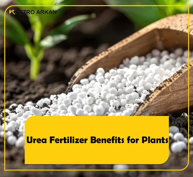 5 Urea Fertilizer Benefits for Plants You Should Know