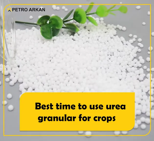 Best time to use urea granular for crops + 2025 prices