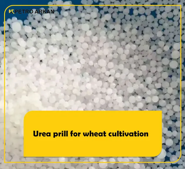 Urea prill for wheat cultivation + 2 main methods to apply