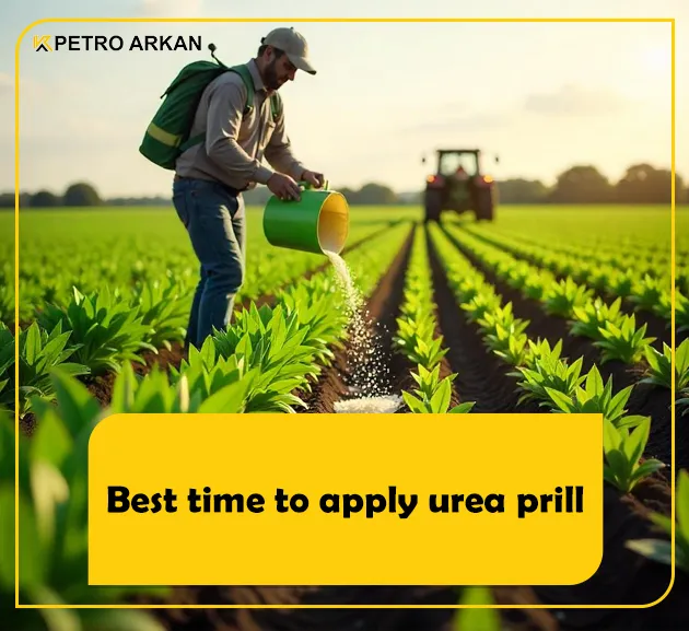 Prill urea vs. Granular urea + 3 main differences