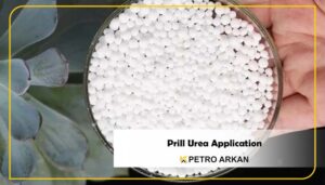 Prill urea vs. Granular urea + 3 main differences