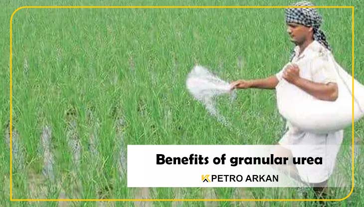 Detailed Guide to Granular Urea - to Its Benefits and Uses in Agriculture