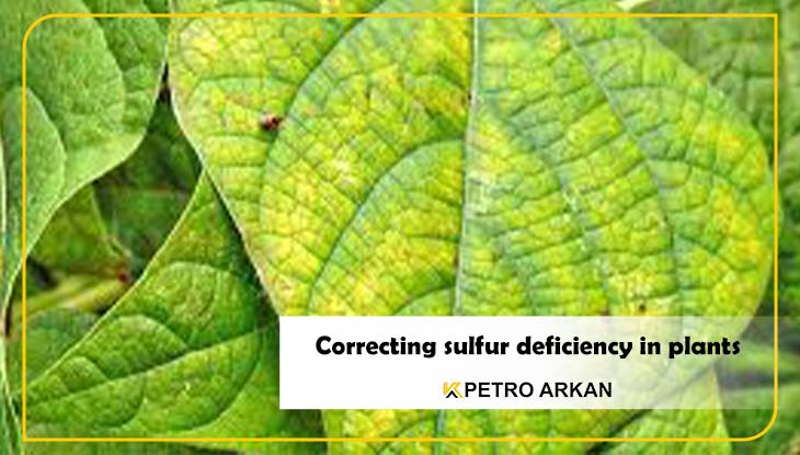 Treatment of sulfur deficiency in the soil - petroarkan