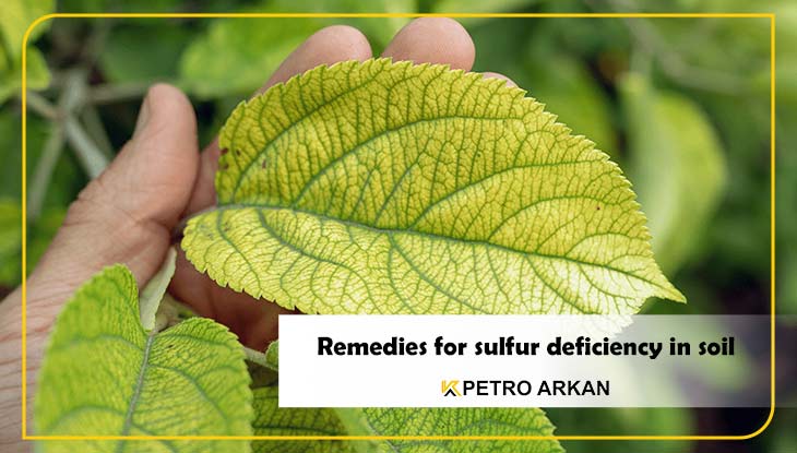 Treatment of sulfur deficiency in the soil - petroarkan