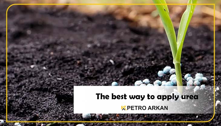 How to Apply Urea Fertilizer: 7 Urea fertilizer application