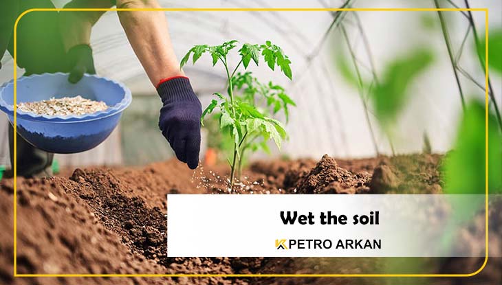 How to Apply Urea Fertilizer: 7 Urea fertilizer application