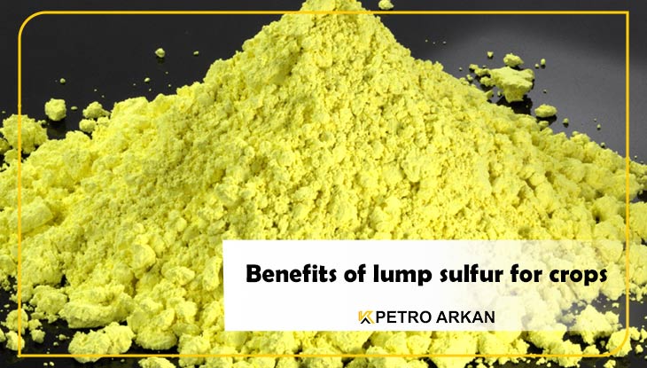 6 Application of sulfur lump in agriculture - petroarkan